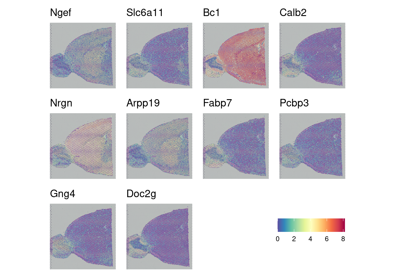 Chapter 5 Spatially Variable Genes (SVGs) Discovery with SPARK-X | A ...